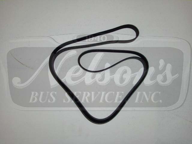 BELT SERPANTINE CUMMINS CM